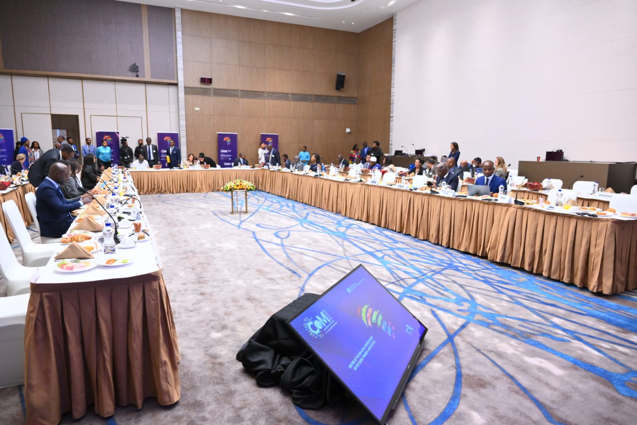 Side event: Breakfast meeting of the High-level Working Group on the ...