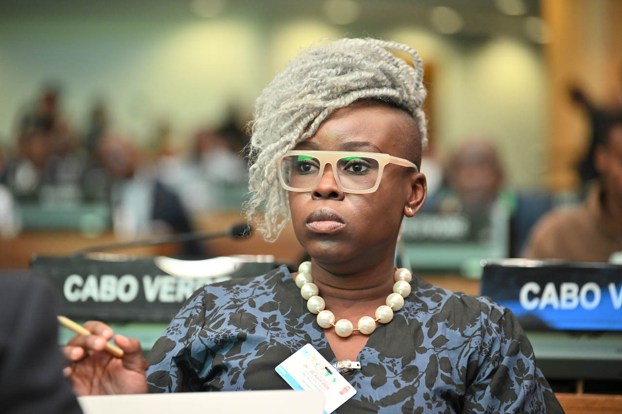 Twelfth Session of the Africa Regional Forum on Sustainable Development ...