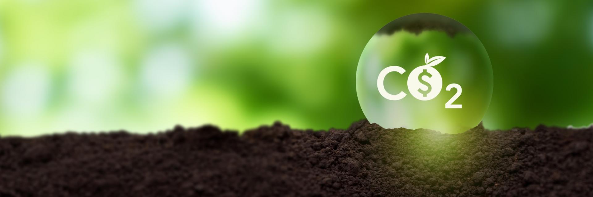African Climate Negotiators mull global carbon market opportunities ... African Climate Negotiators mull global carbon market opportunities ...