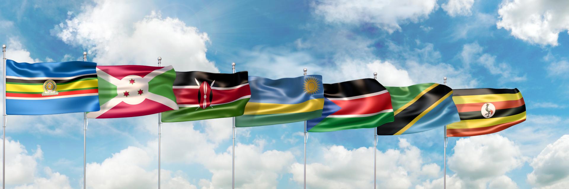 ECA and stakeholders in East African Community (EAC) meet tomorrow to ...